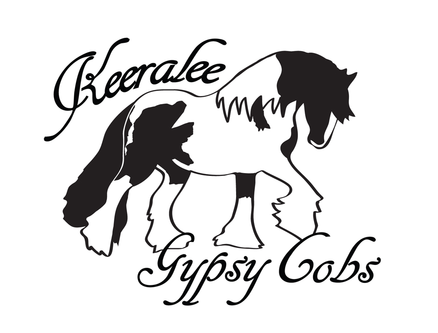 gypsy-cobs - Show Pony Creative